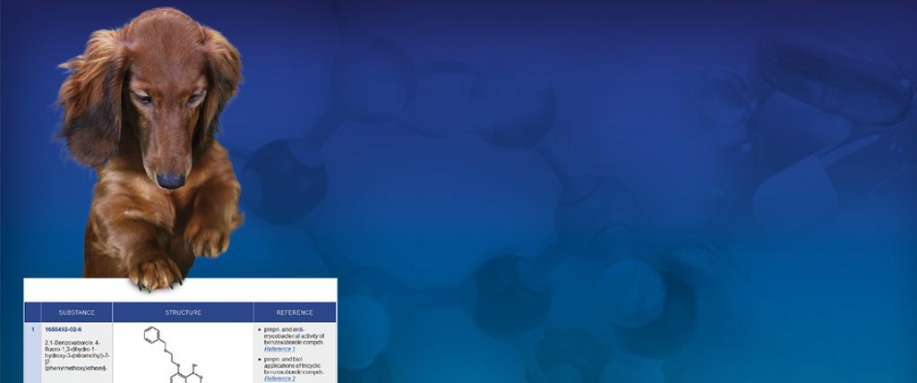 Home - BizInt Solutions